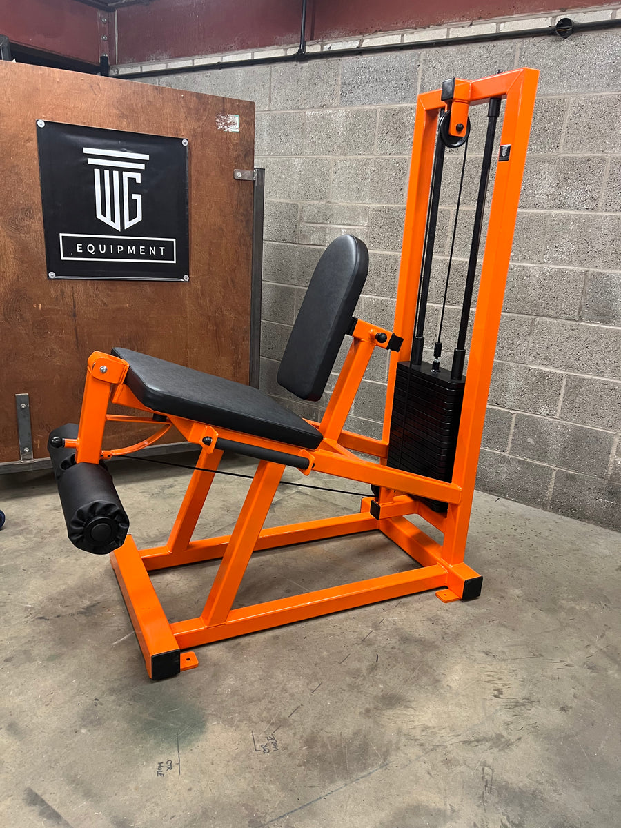 Leg Extension Pin Loaded – WG Equipment